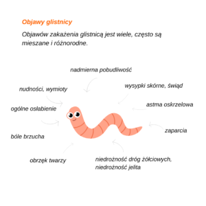 Glista ludzka - czym jest i jak się nią zarażamy? | Grupa Medyczna ...